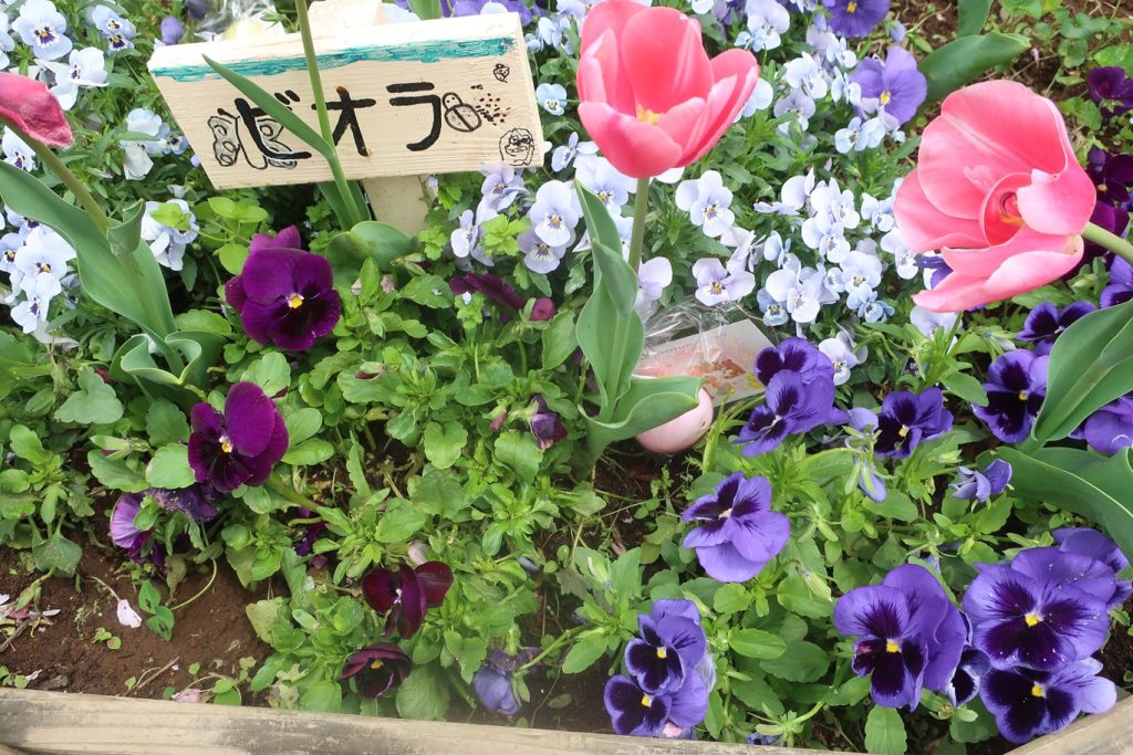 イースターおめでとう！ | アルウィン学園保育センター こどもの木かげ